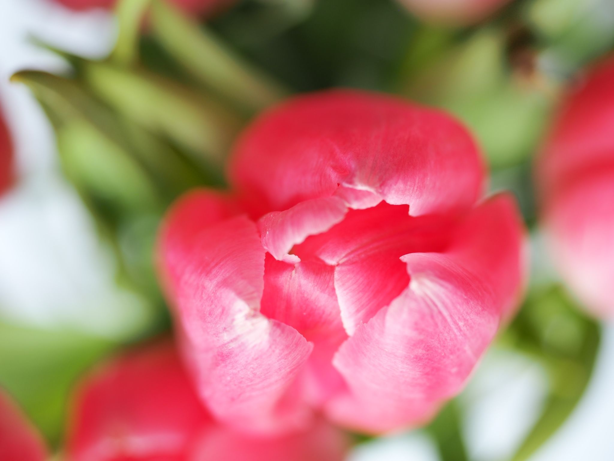 Tvoření-Hobby-Šití-Korálkování